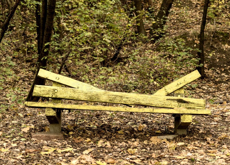 Banch in the park stock image. Image of forest, bush - 79594019