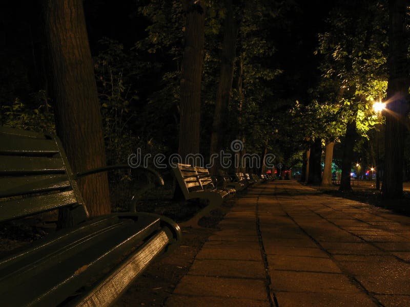 A banch to night stock image. Image of garden, mystery - 135533