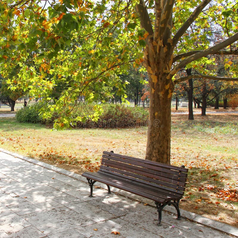 Banco de parque imagen de archivo. Imagen de calma, madera - 27767209