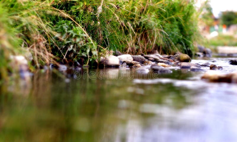 Banco de rio imagem de stock. Imagem de verde, rochas - 1252485