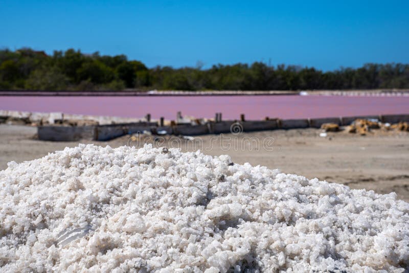 Banco De Sal En Puerto Rico Foto de archivo - Imagen de costa, orilla ...
