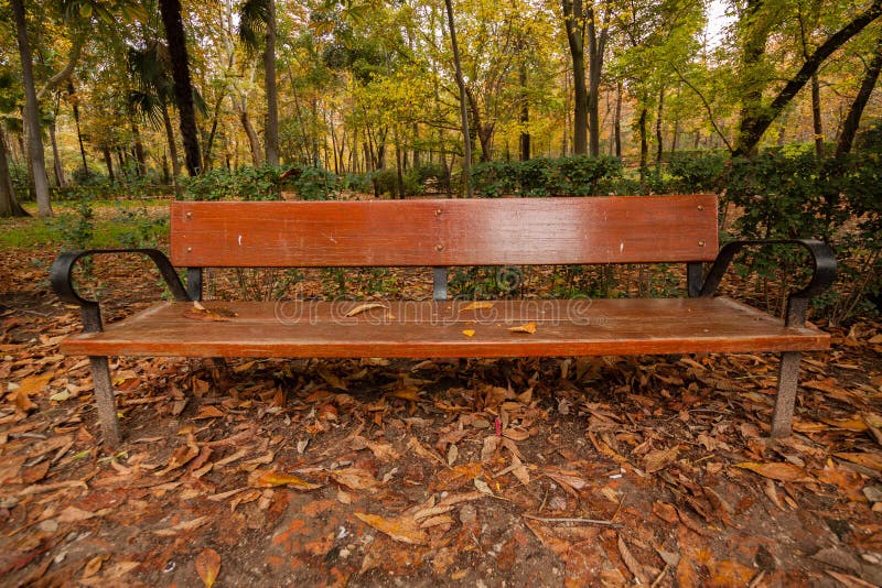Banco De Sentarse En El Parque Foto de archivo - Imagen de escena ...