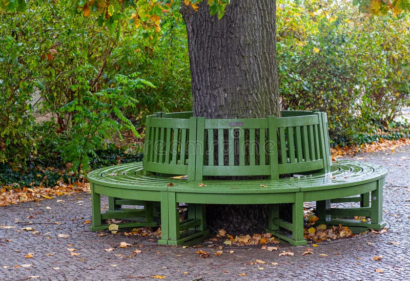 Banco Redondo De Madera Alrededor De Un árbol Imagen de archivo ...