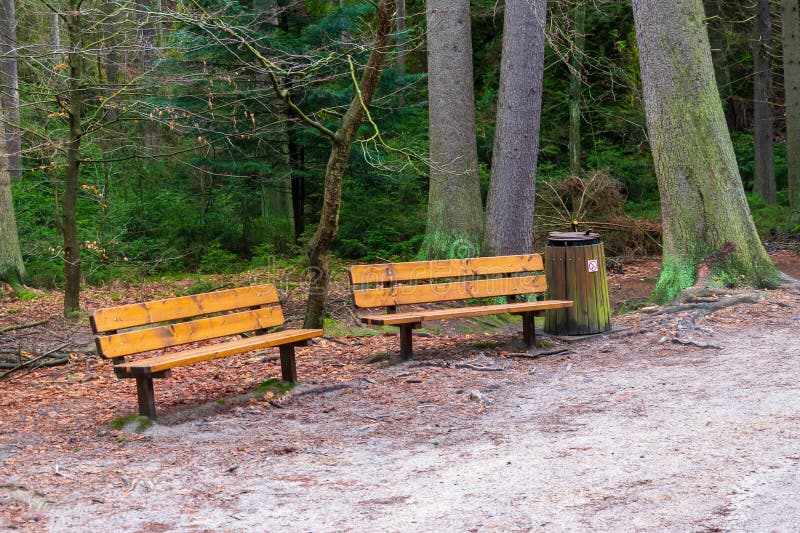 Bancos De Madera En El Parque Foto de archivo - Imagen de madera, silla ...