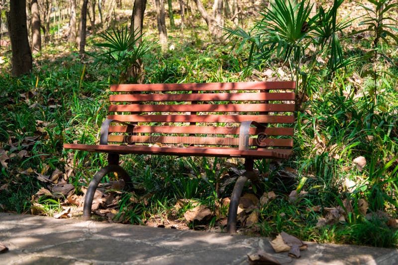 Bancos De Madera En El Parque Foto de archivo - Imagen de hermoso ...