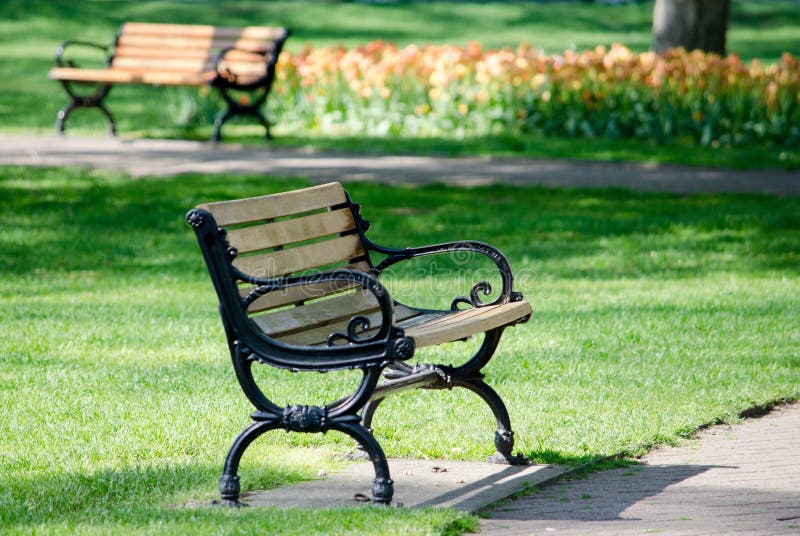 Bancos De Parque De Madera En Primavera Foto de archivo - Imagen de ...
