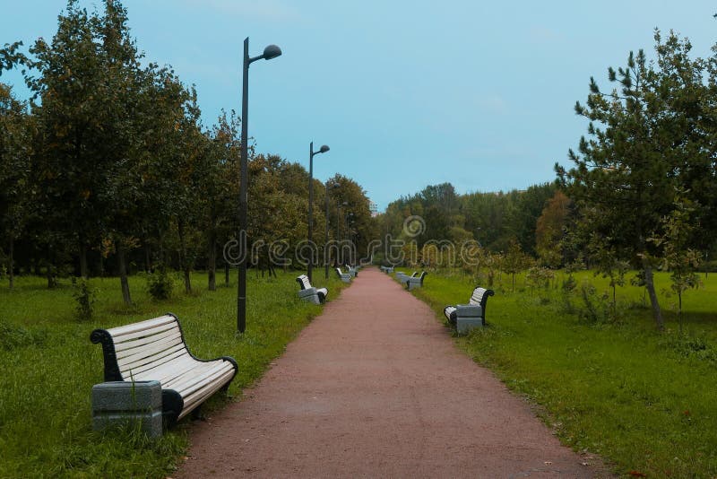 Bancos En El Parque De La Ciudad Foto de archivo - Imagen de hierba ...