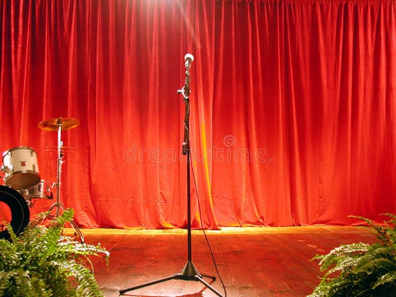 Band Scene2 stock image. Image of microphone, singing, fern - 291555