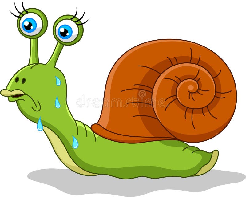 Escargot drôle illustration de vecteur. Illustration du mignon - 33415988