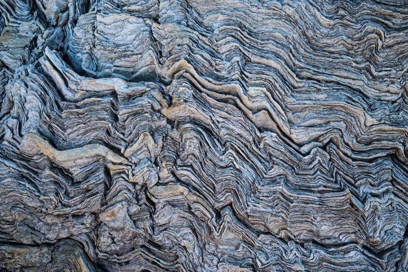 Banded Rock Rattlesnake stock image. Image of venomous - 6242119