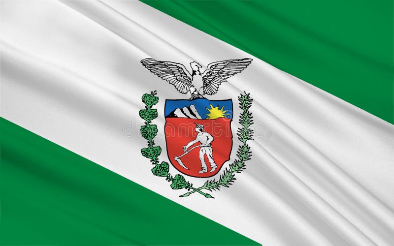 Bandeira 3d Do Estado De Ji Parana Rondonia Brasil Ilustração Stock