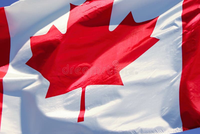 Bandera Canadiense En El Viento Foto de archivo - Imagen de soplo ...