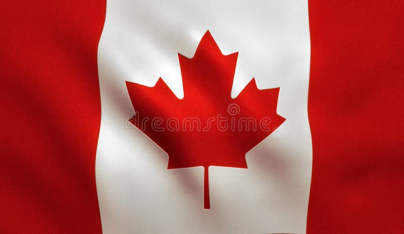 Bandera Canadiense - Hoja De Arce De Canadá Foto de archivo - Imagen de ...