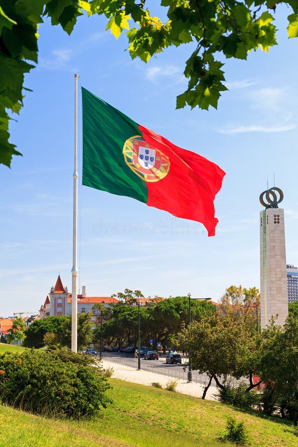 Bandera con las hojas imagen de archivo. Imagen de naturalice - 39056493
