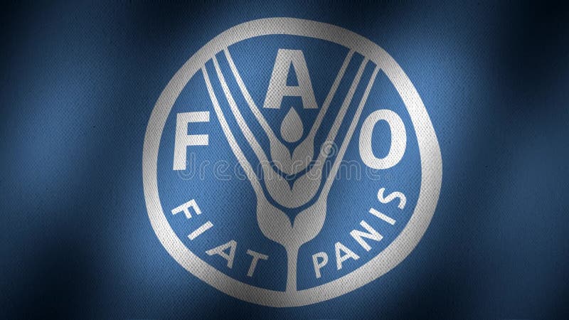 Bandera de la O.N.U metrajes. Vídeo de textura, tela - 94339504