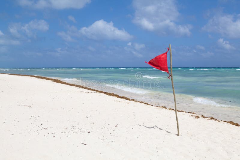 Bandera Roja En La Playa Tropical Foto de archivo - Imagen de tropical ...