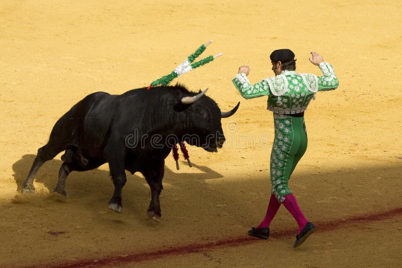 Banderillero in green editorial stock photo. Image of seville - 28722308