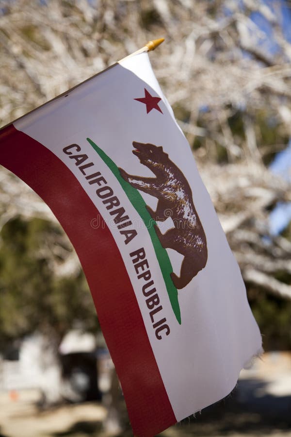 Bandiera Della Repubblica Di California Immagine Stock - Immagine di ...