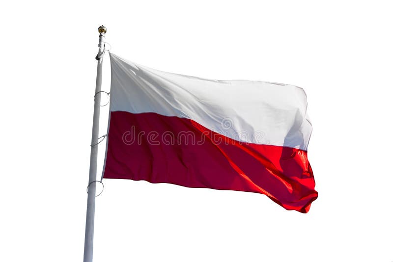 Bandiera polacca su bianco fotografia stock. Immagine di ondeggiamento ...