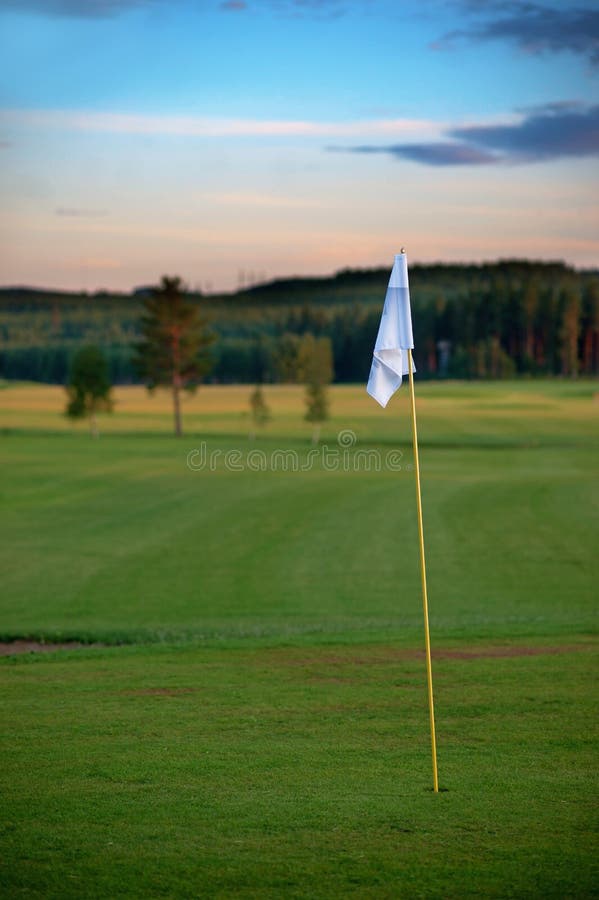 Bandierina di golf fotografia stock. Immagine di estate - 20596700