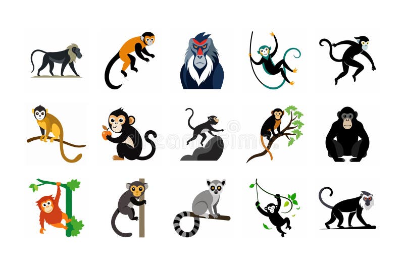 Bandle Primates Animal Vector, Monkey and Ape Illustration Stock Vector ...