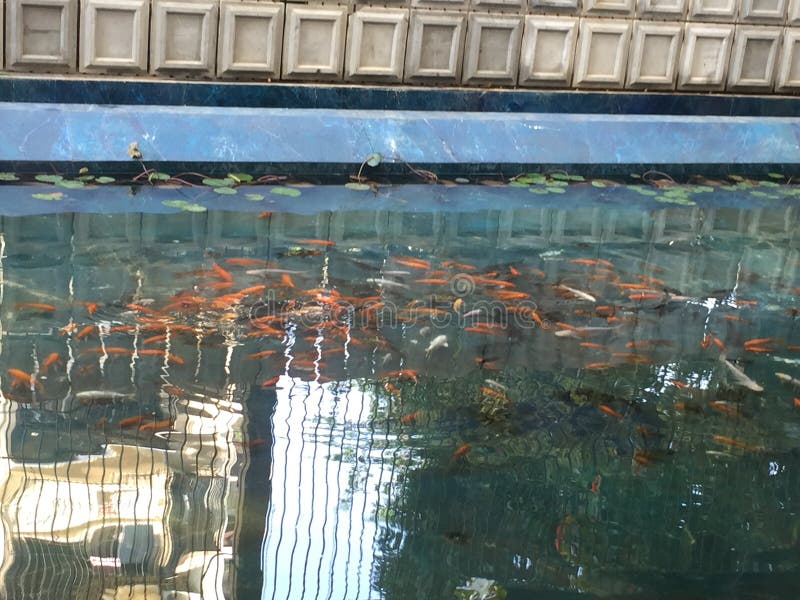 The Bandra Project Restaurant Interiors Editorial Photo - Image of ...