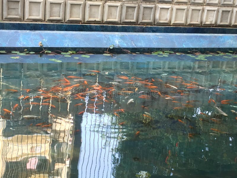 The Bandra Project Restaurant Interiors Editorial Stock Image - Image ...