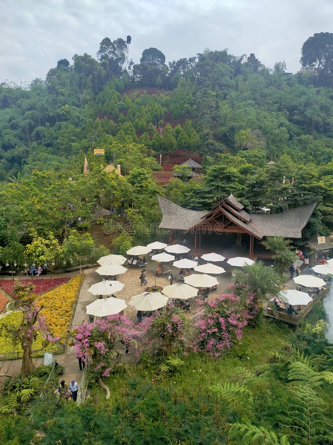 Bandung bunga kebun stock photo. Image of kebun, taman - 263671022