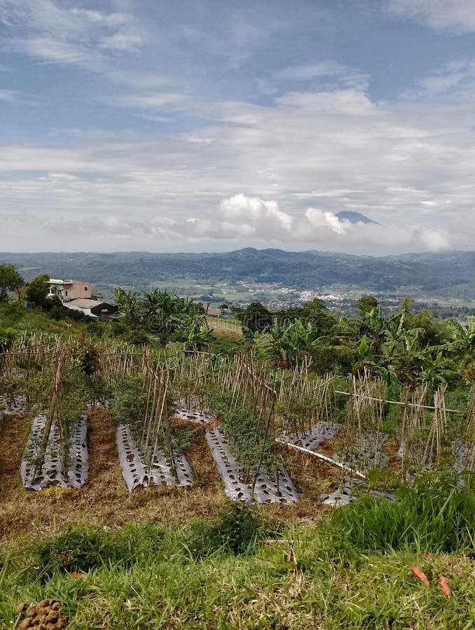 Bandungan Semarang Central Java Indonesia Stock Image - Image of ...