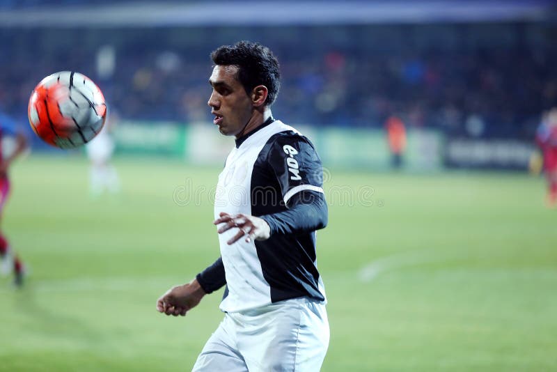 Banel Nicolita foto de archivo editorial. Imagen de emparejamiento ...