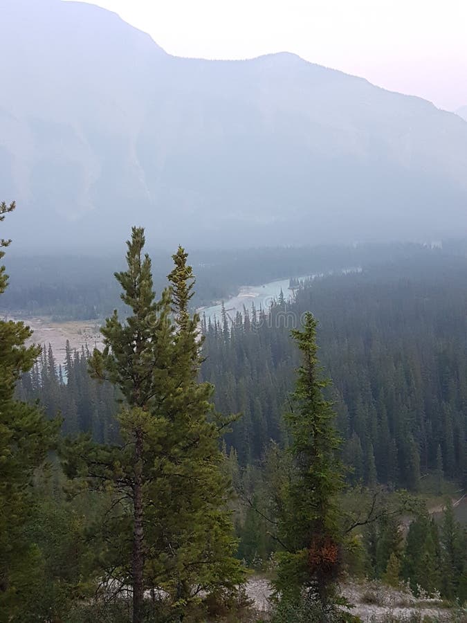 Banff stock photo. Image of nature, trees, forest, banff - 127171758