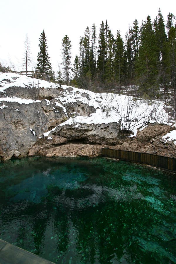 Banff Hot Springs Basin stock image. Image of wildlife - 65043819
