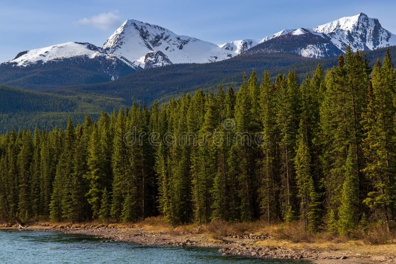 Banff Mountains and Trees Under a Blue Sky Stock Image - Image of ...