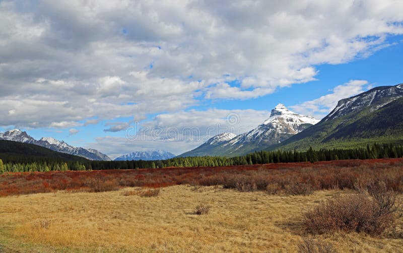 Panorama with Moose Meadows Stock Image - Image of natural, mountain ...
