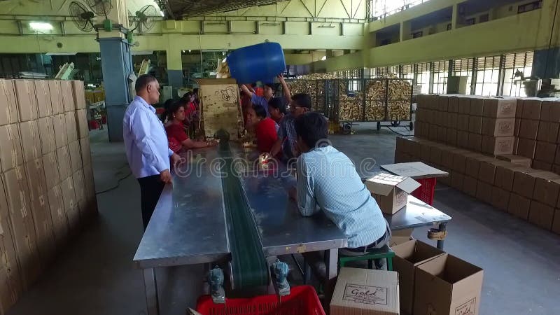 Group of Workers Sorting and Packaging Solid Soaps in Boxes Stock ...