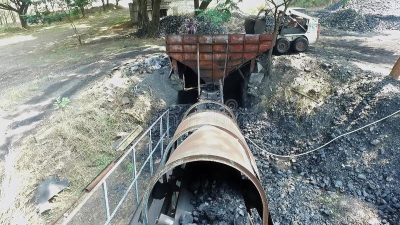 Steer Loader Dumping Charcoal into Conveyor Machine Stock Footage ...
