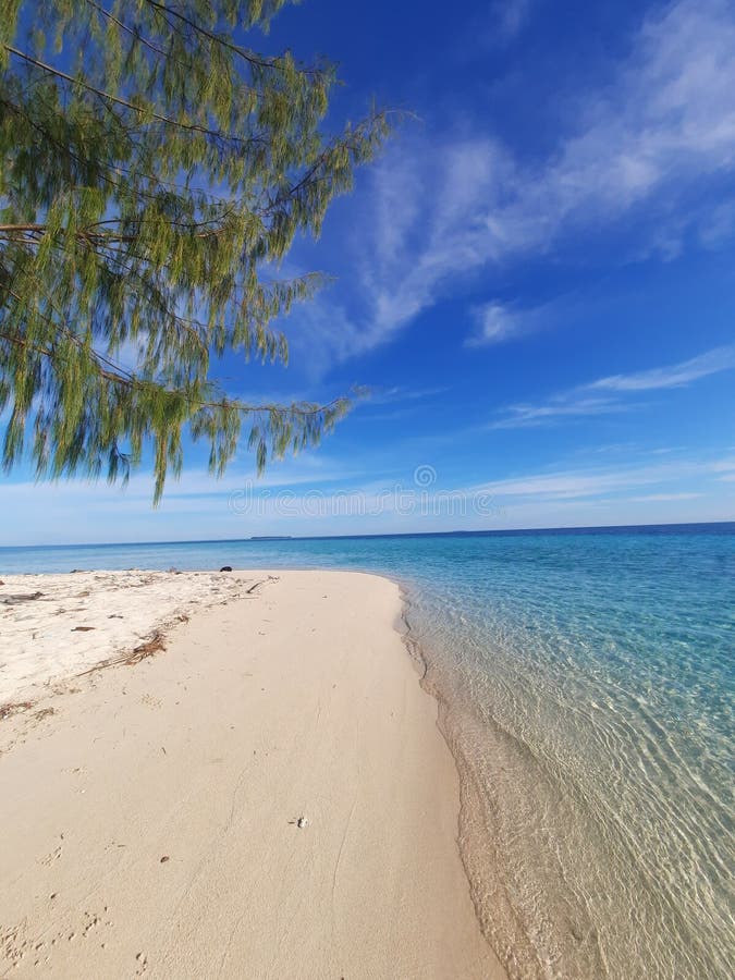Banggai islands beach stock photo. Image of islands - 264992072