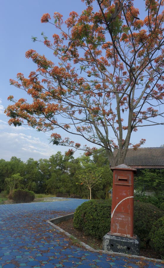 Bangkok Thailand on May 11, 2020: the Mail Box Was Located Under the ...