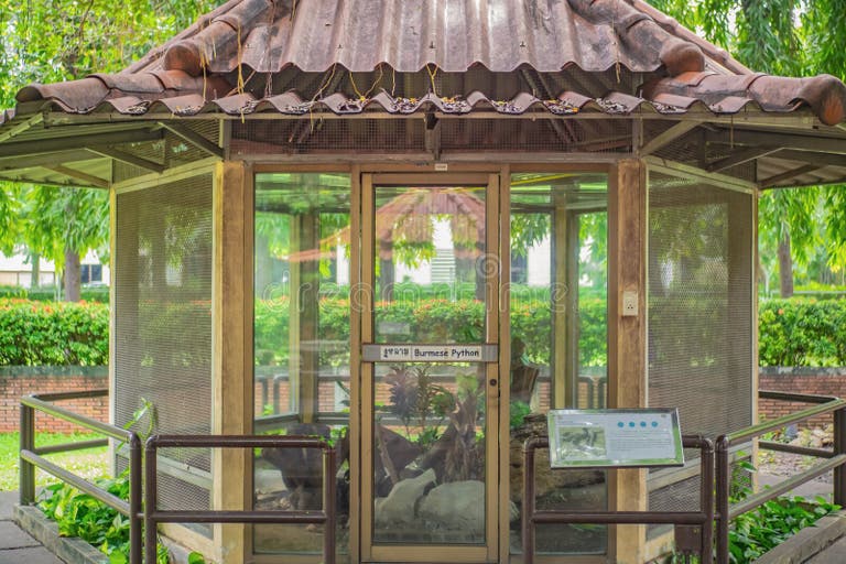 The Giant Burmese Python Snake Cage in Thailand Snake Farm Bangkok ...