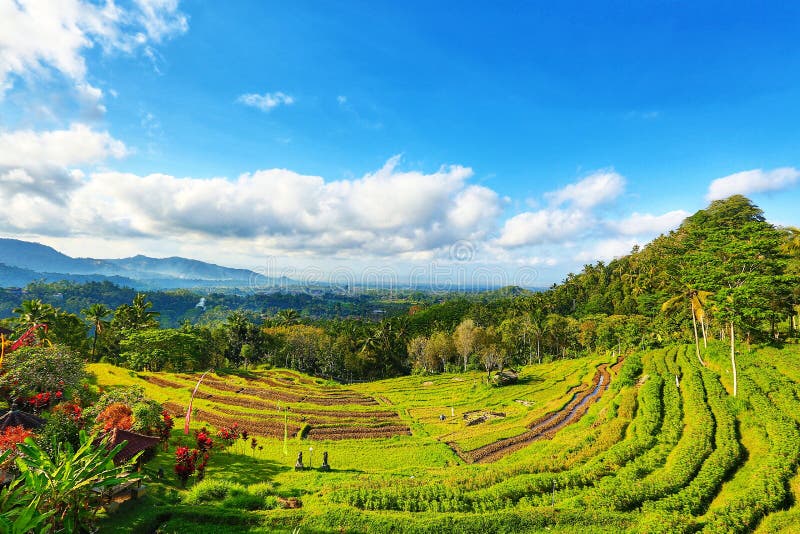 Bangli stock image. Image of landscape, bali, mountain - 143158651