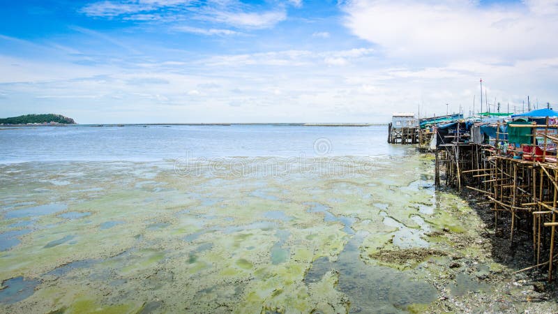 Sea Mudflat beach stock photo. Image of market, asia - 37693574