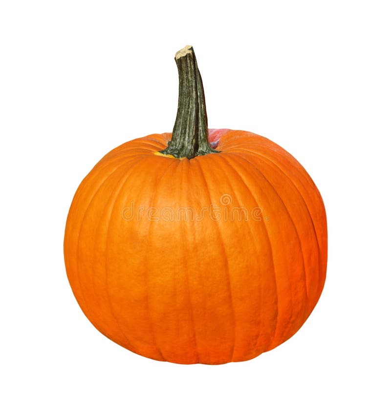 Dynia obraz stock. Obraz złożonej z mały, czerń, trzon - 20556987