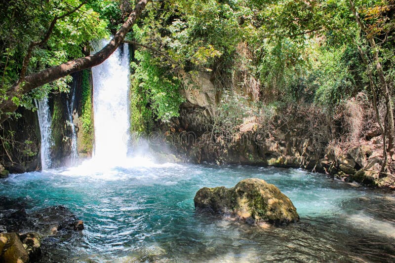 Banias Waterfall stock photo. Image of fall, forest, green - 53013818