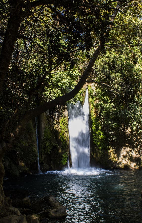 Banias waterfall stock photo. Image of freshness, cascade - 7879872