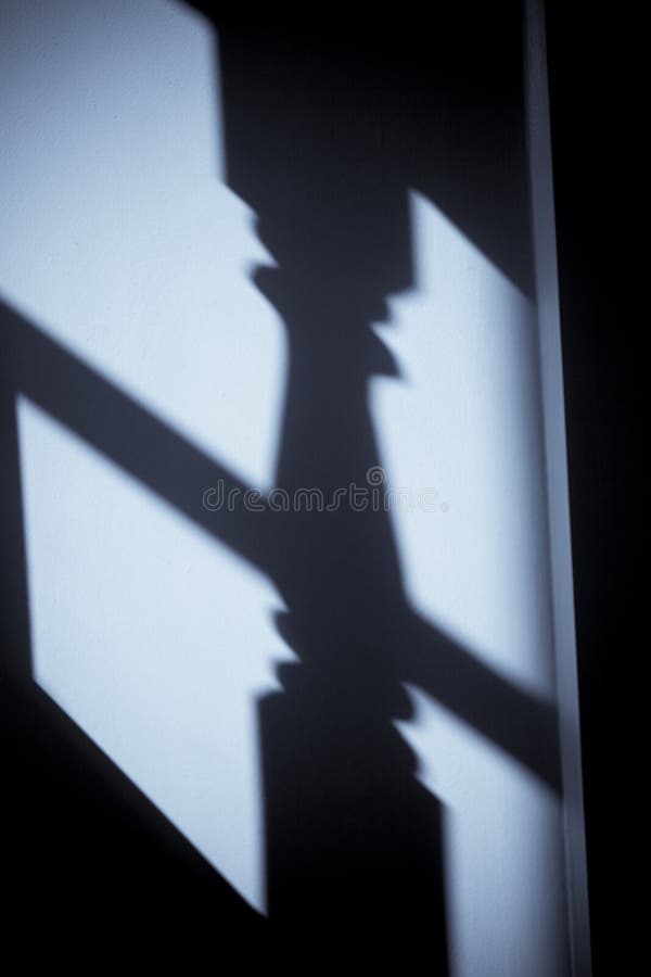 Ugly duckling stock photo. Image of dream, swan, shadow - 6533650