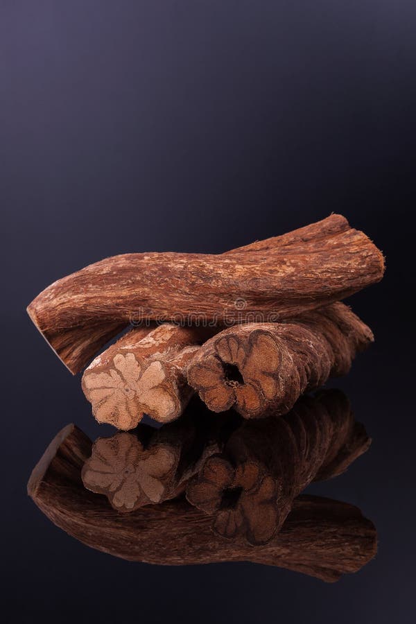 Banisteriopsis Caapi, Ayahuasca Stock Photo - Image of entheogenic ...