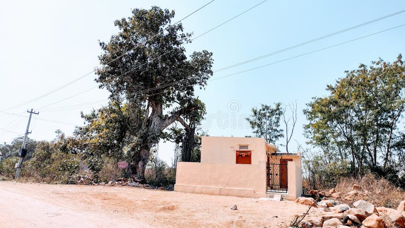 Baniyan tree stock photo. Image of forest, baniyan, tree - 124255434