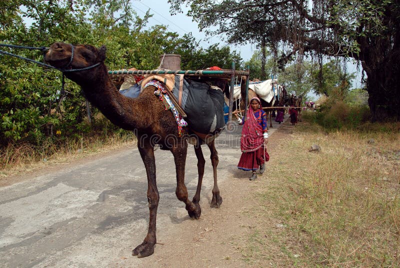 Banjara Tribes in India editorial image. Image of tree - 17681580