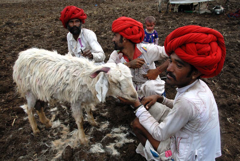 Banjara Tribes in India editorial stock photo. Image of sheep - 17745413