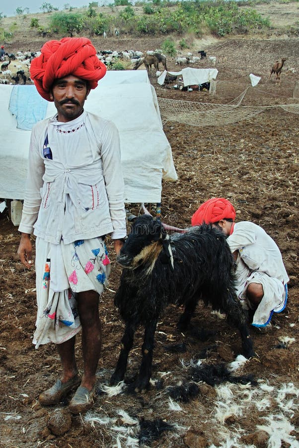 Banjara Tribes in India editorial photography. Image of animal - 18180142
